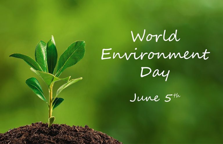 World Environment Day - Tinkers Creek Watershed Partners