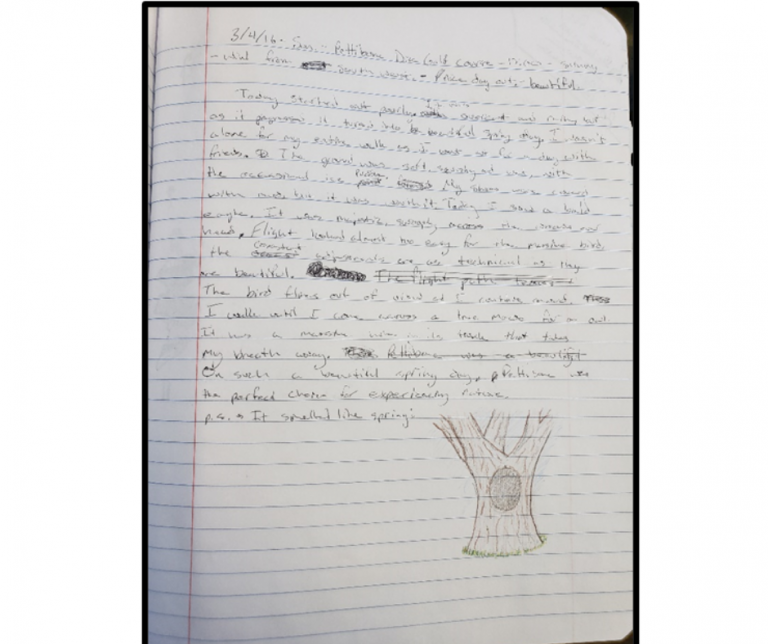 A Beginner's Guide to Nature Journals - Tinkers Creek Watershed Partners