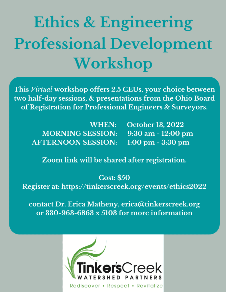 Virtual Ethics And Engineering Professional Development Workshop